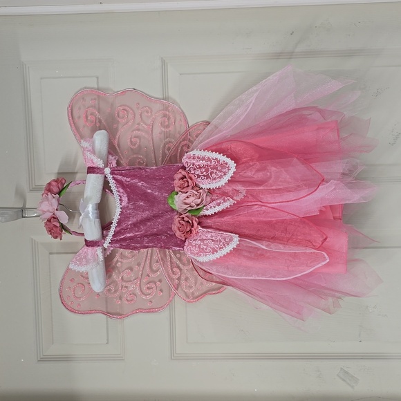 Fairy Dust | Dresses | Fairy Dust Costume | Poshmark